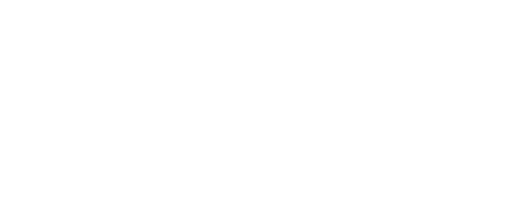 CEE – CEE GROUP
